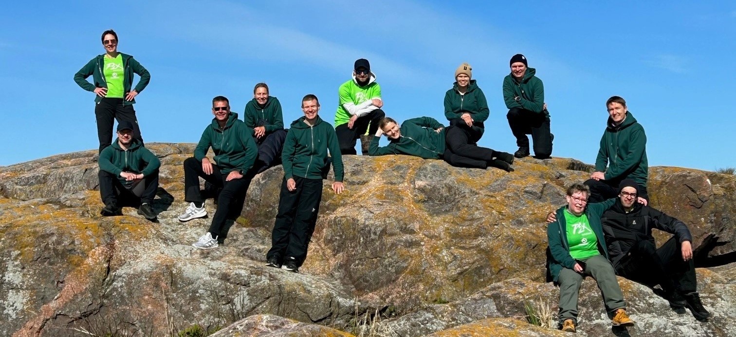 Project – P2X Solutions